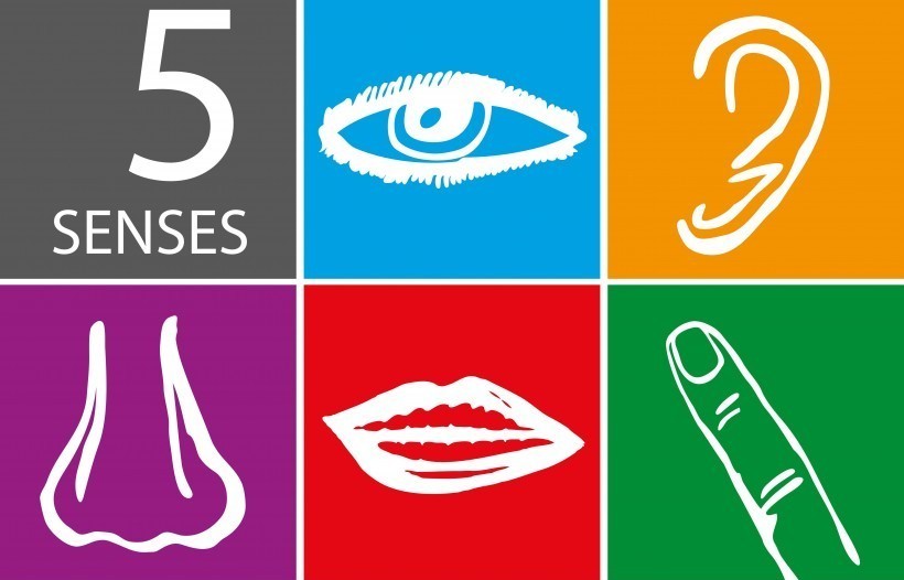 5 Tips To Create Multi-Sensory eLearning Courses - eLearning Industry