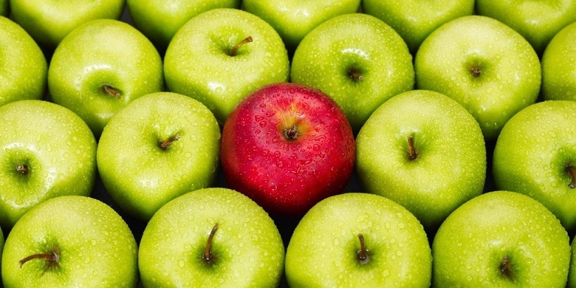 7 Tips To Create Online Training Content With A Point Of Difference ...